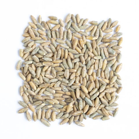 Centeno | Noalles y Balanzá